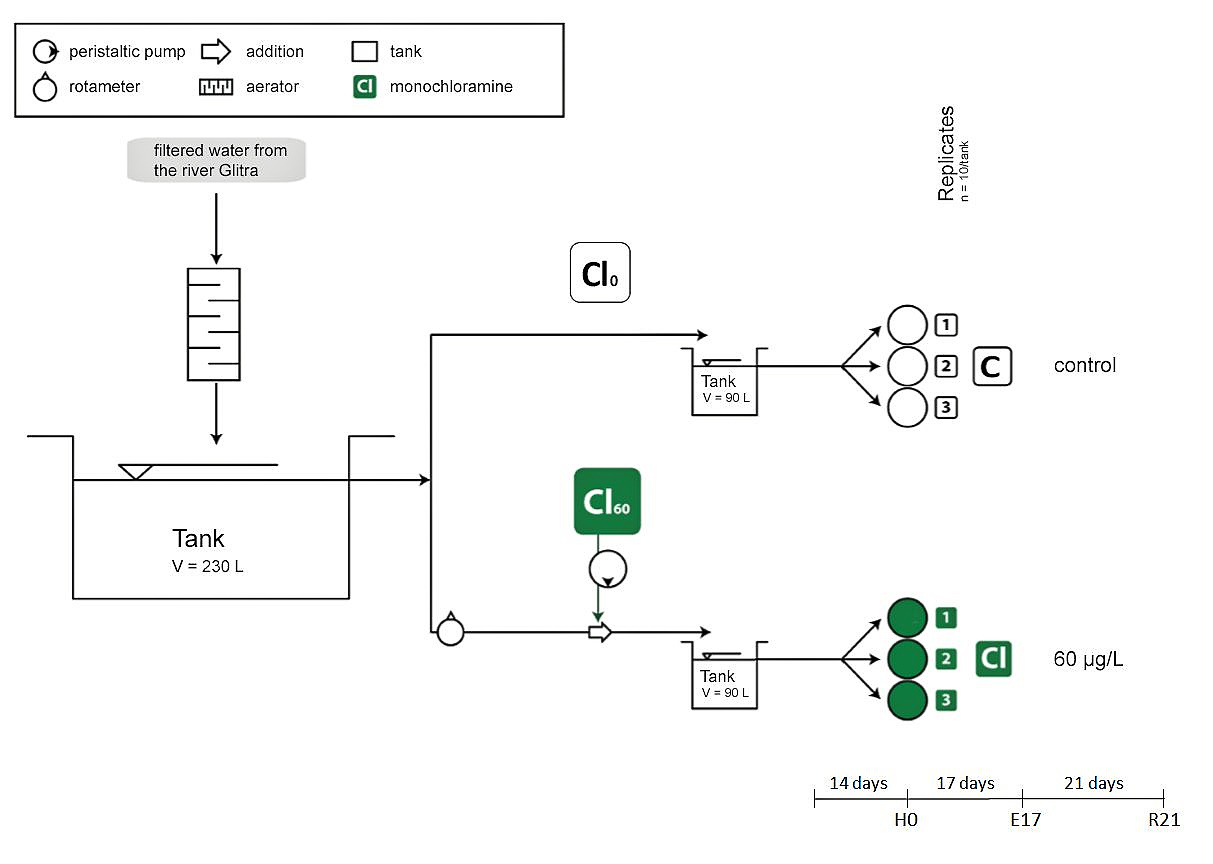 Omics in the research of chloramine treatment against parasite ...
